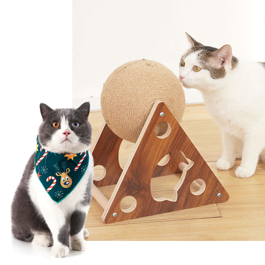 About Us - Hangzhou Rena Pet Products Co., Ltd.