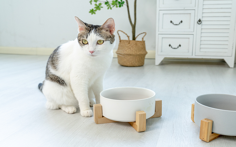 Hangzhou Rena Pet Products Co., Ltd.