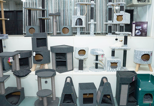 About Us - Hangzhou Rena Pet Products Co., Ltd.