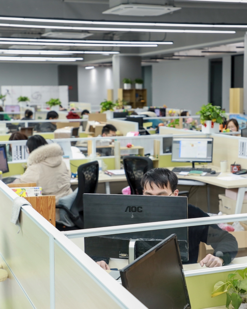 About Us - Hangzhou Rena Pet Products Co., Ltd.